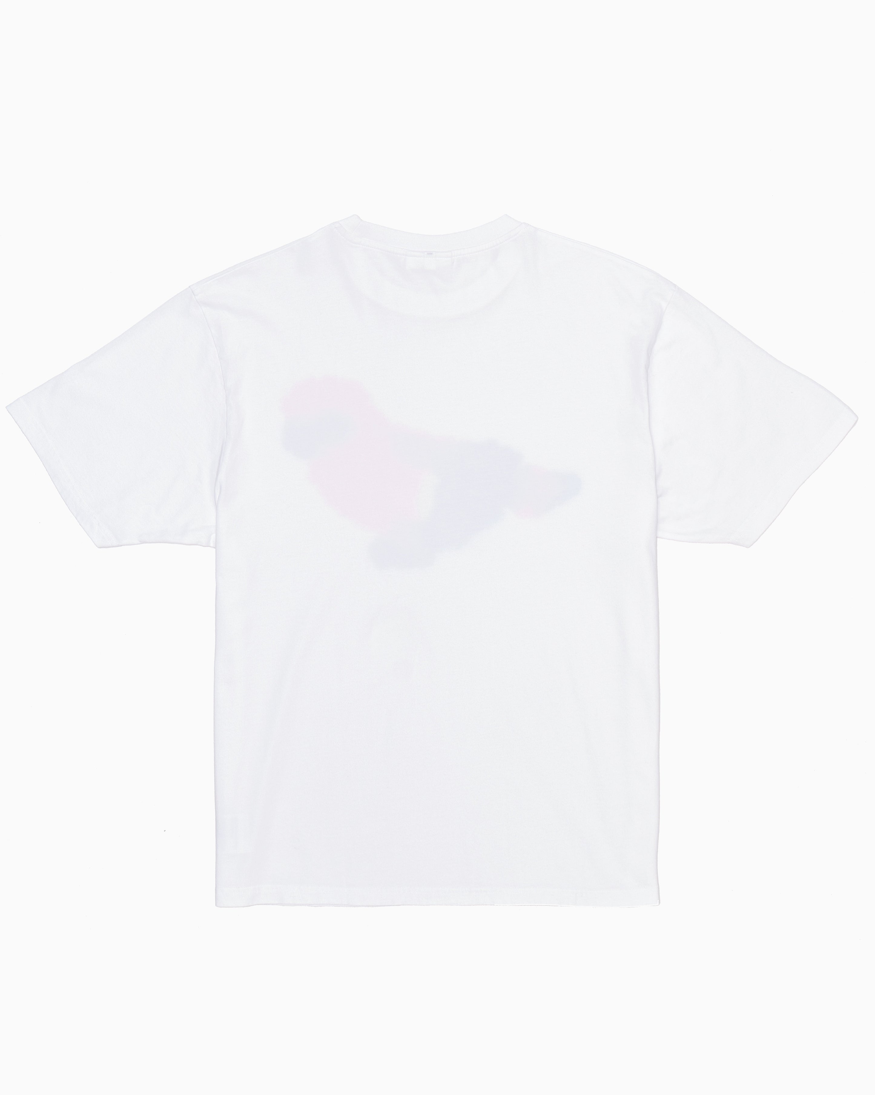 Parrot – Wild Animals