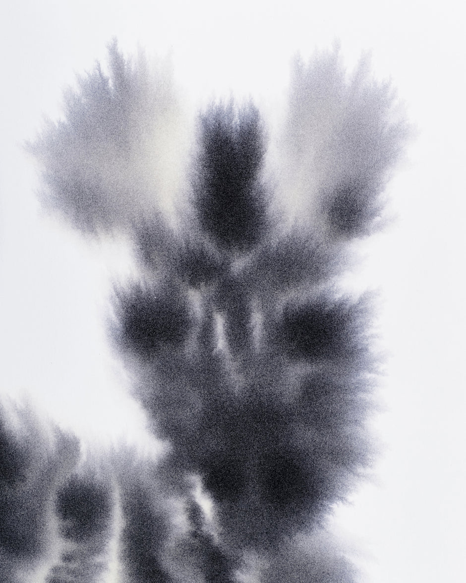 Complete Collection: Rop van Mierlo's Art & Designs – Wild Animals