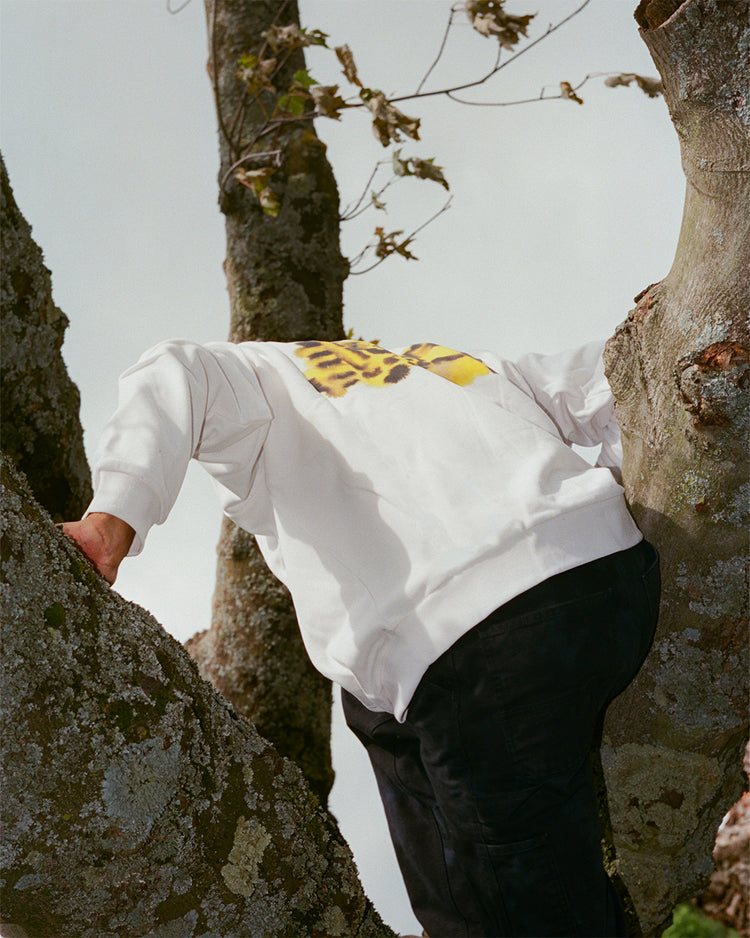 Discover: Tiger Merch – Wild Animals