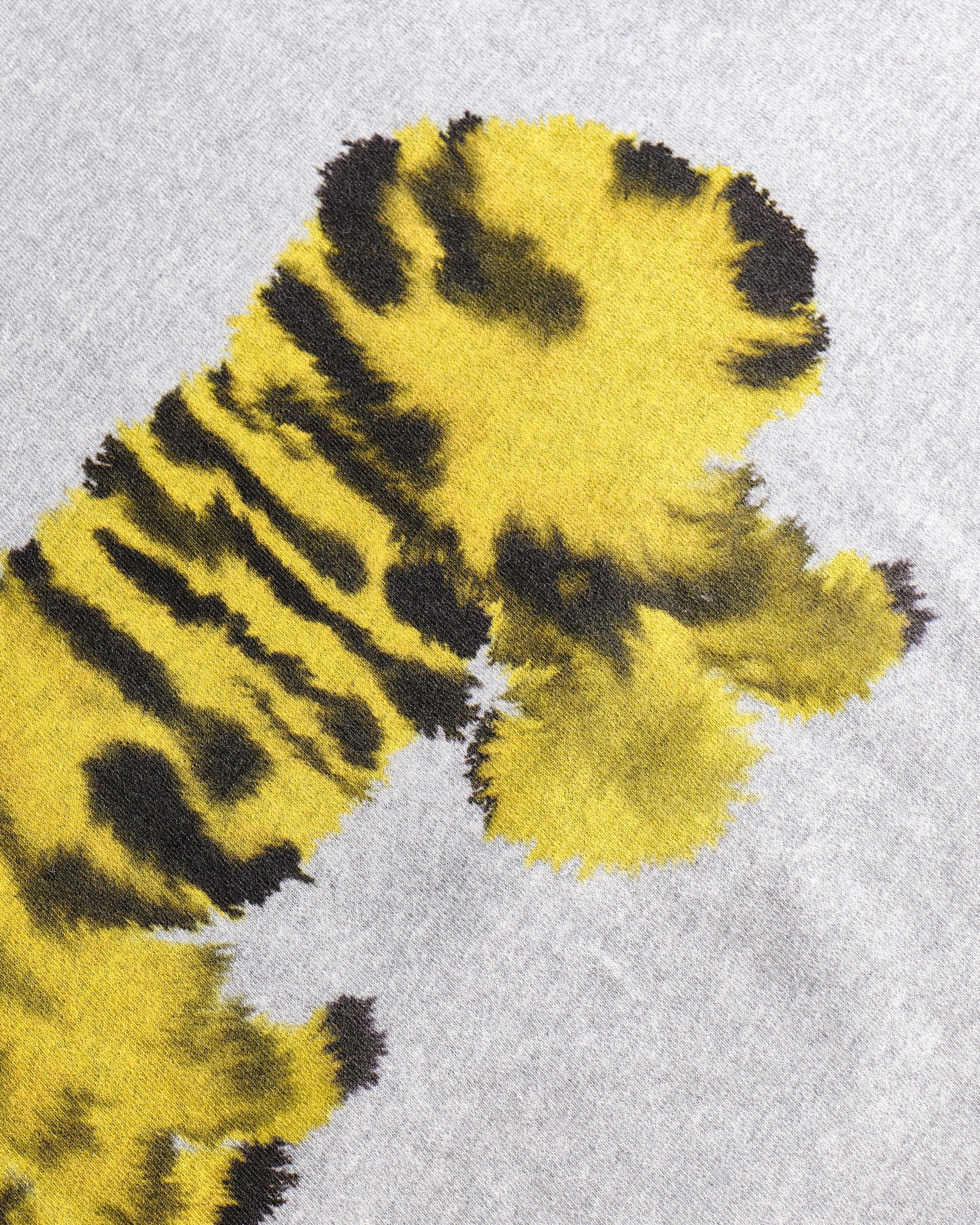 Tiger – Wild Animals